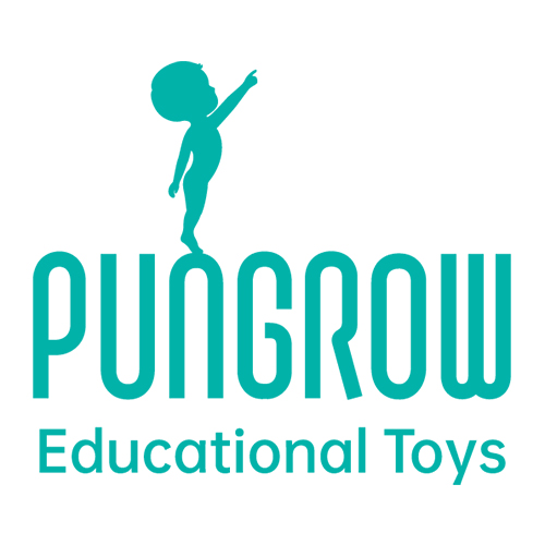 Pungrow Toys Official | Educational & Creative Block Toys